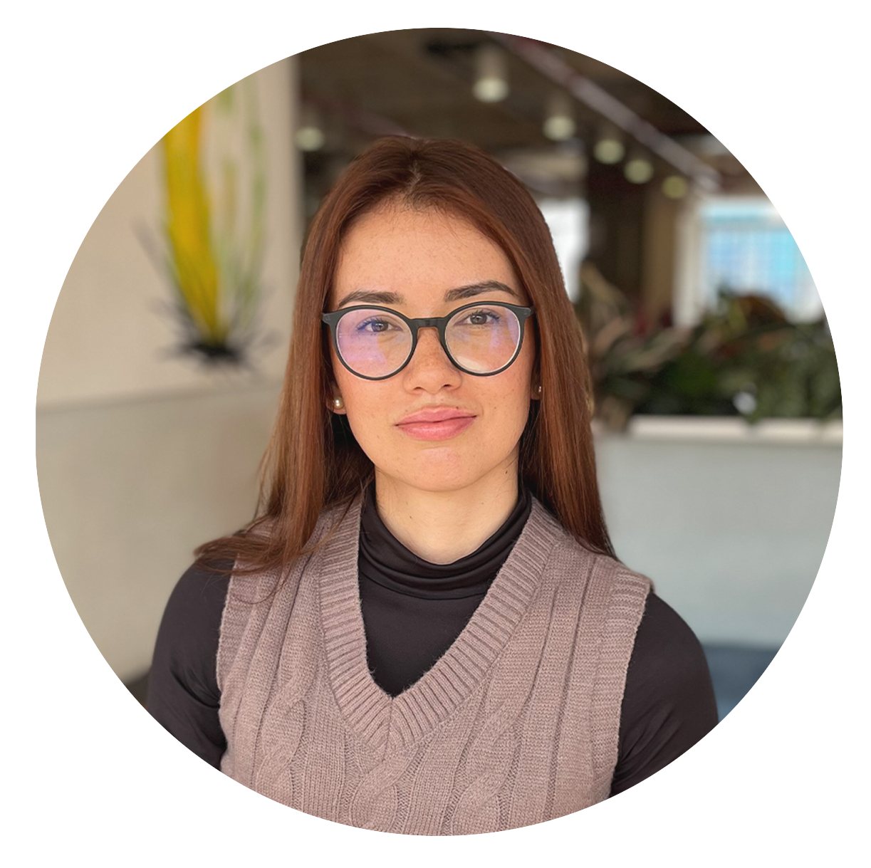 Contacto - Alliance Enterprise